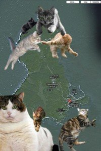 Cat Island, Japan | Animals Zone